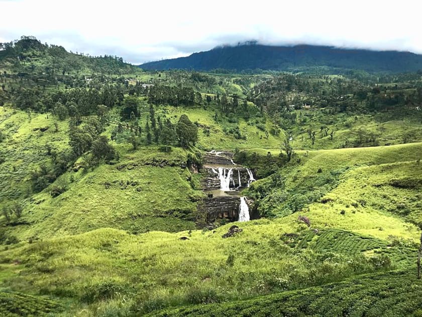 6 Most Beautiful Tea Estates In The World | A Tea Lover's Dream